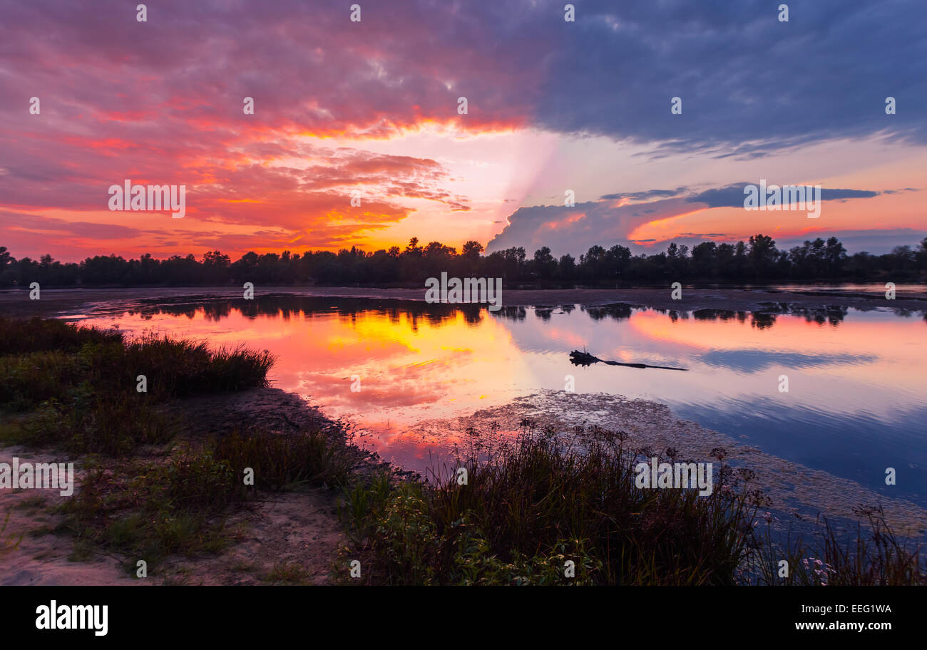 Palma de seychelles hi-res stock photography and images - Alamy