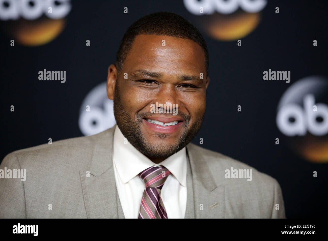 Celebrities attend Disney | ABC TCA 2014 Summer Press Tour at The ...