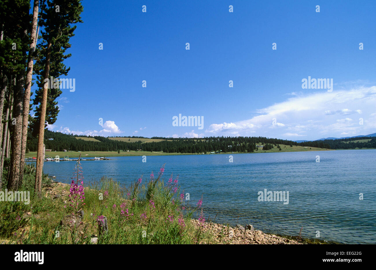 Flathead Lake, Montana, USA Stock Photo - Alamy
