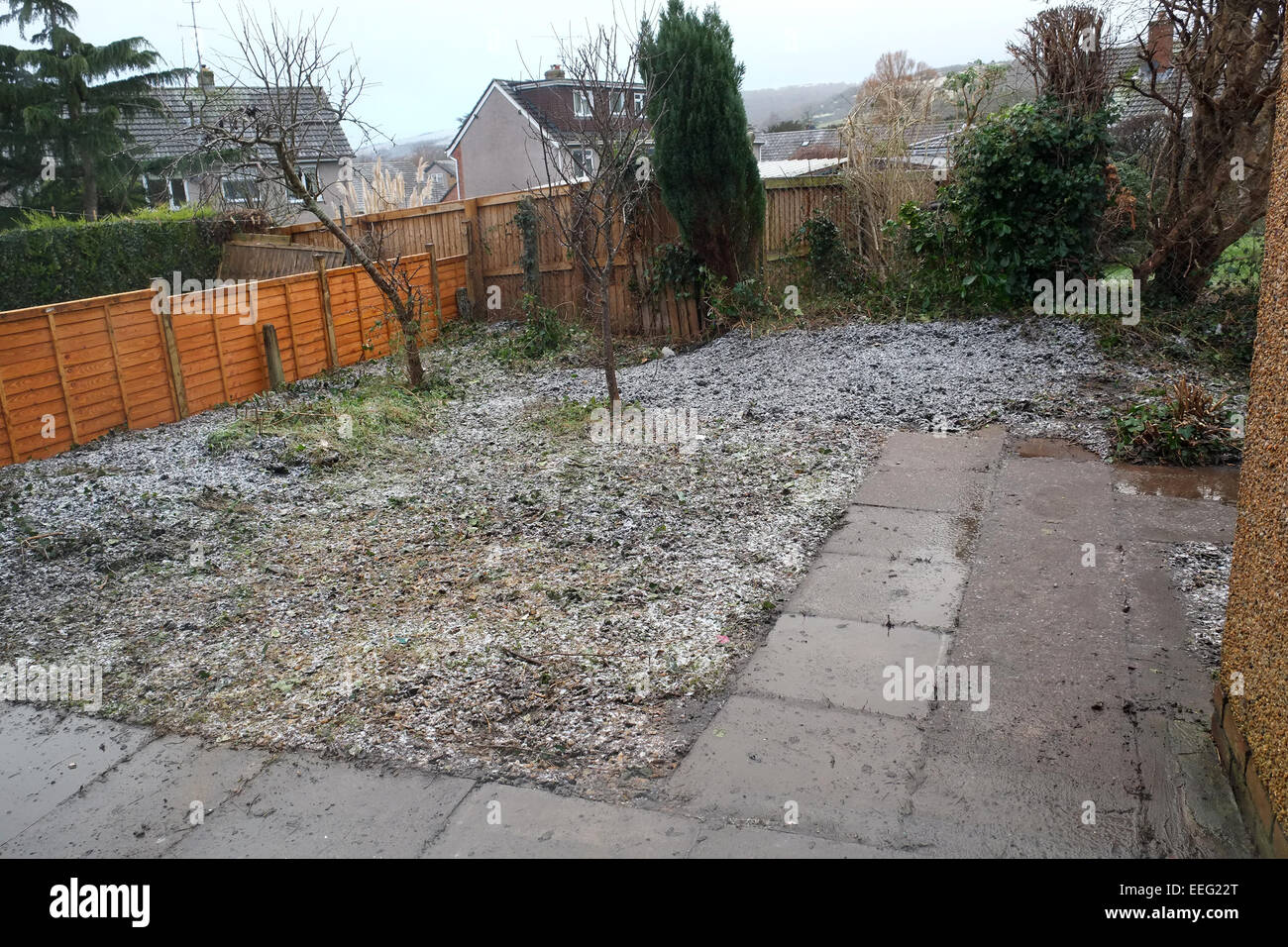 Small barren garden in winter with very light snow dusting 17th January ...