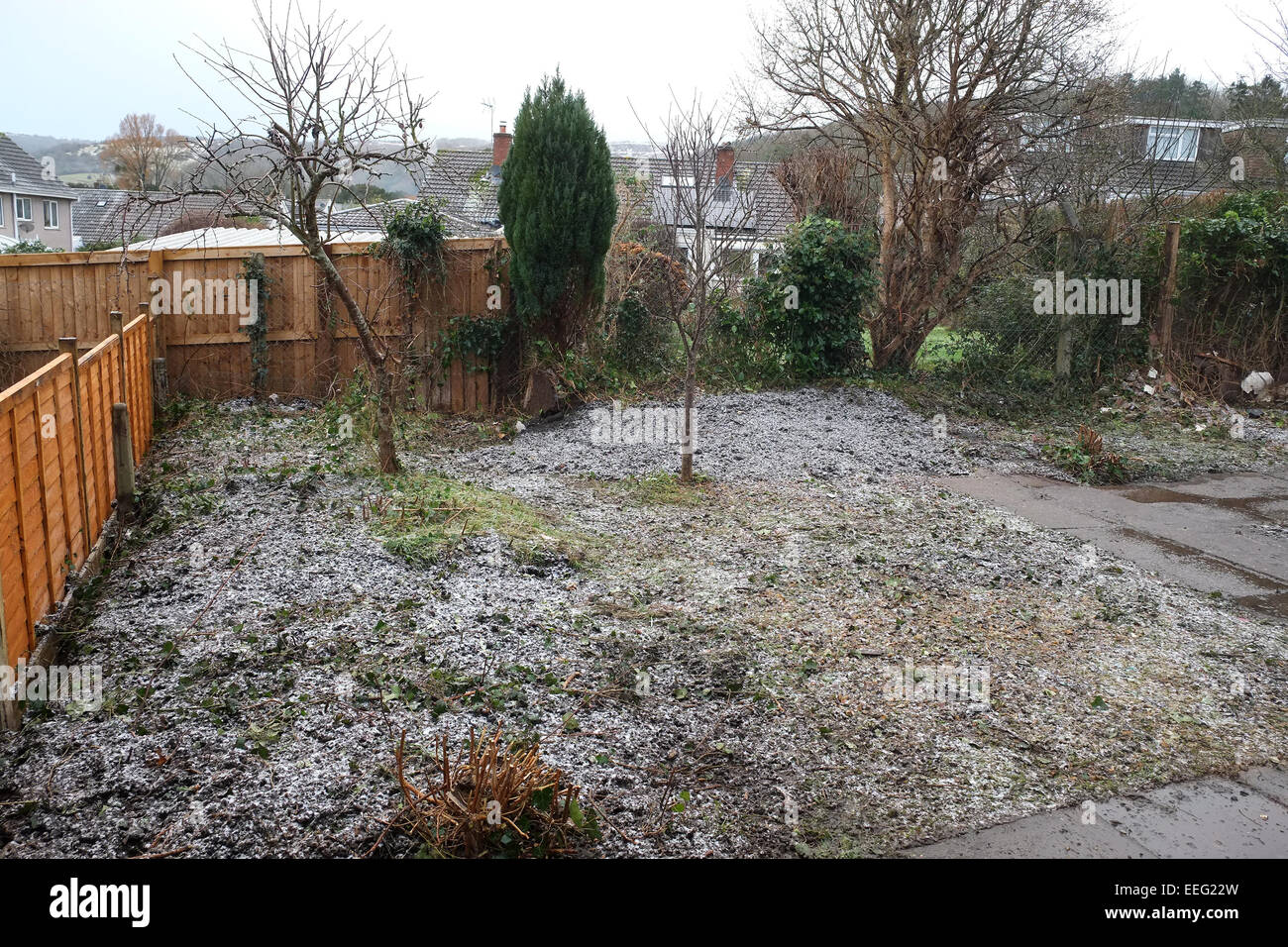 Small barren garden in winter with very light snow dusting 17th January ...