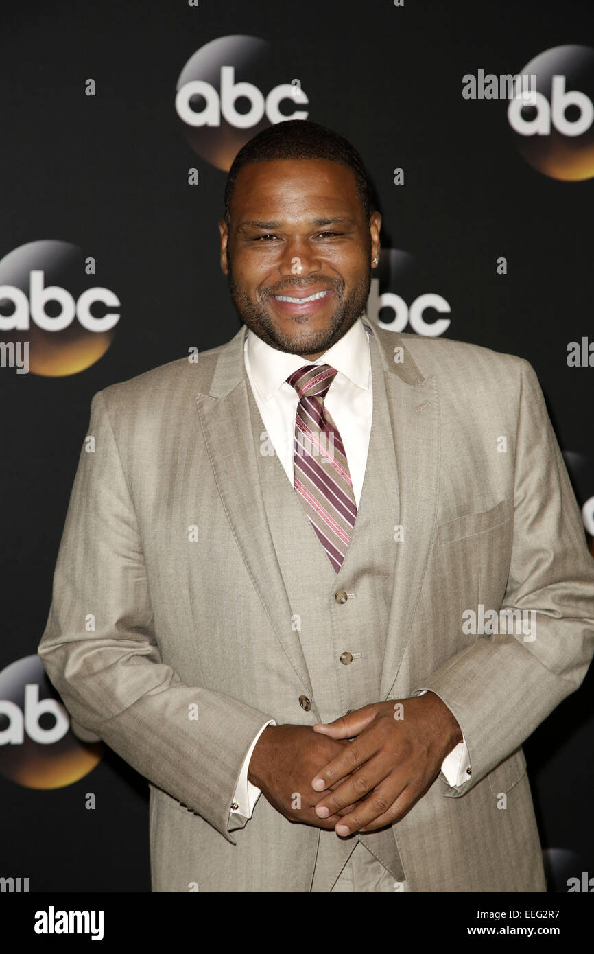 Celebrities attend Disney | ABC TCA 2014 Summer Press Tour at The ...