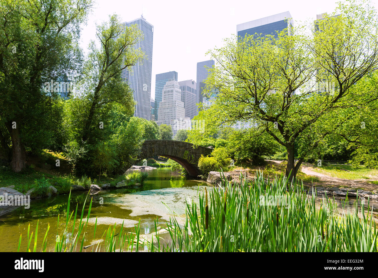 Central Park The Pond Manhattan New York US Stock Photo - Alamy