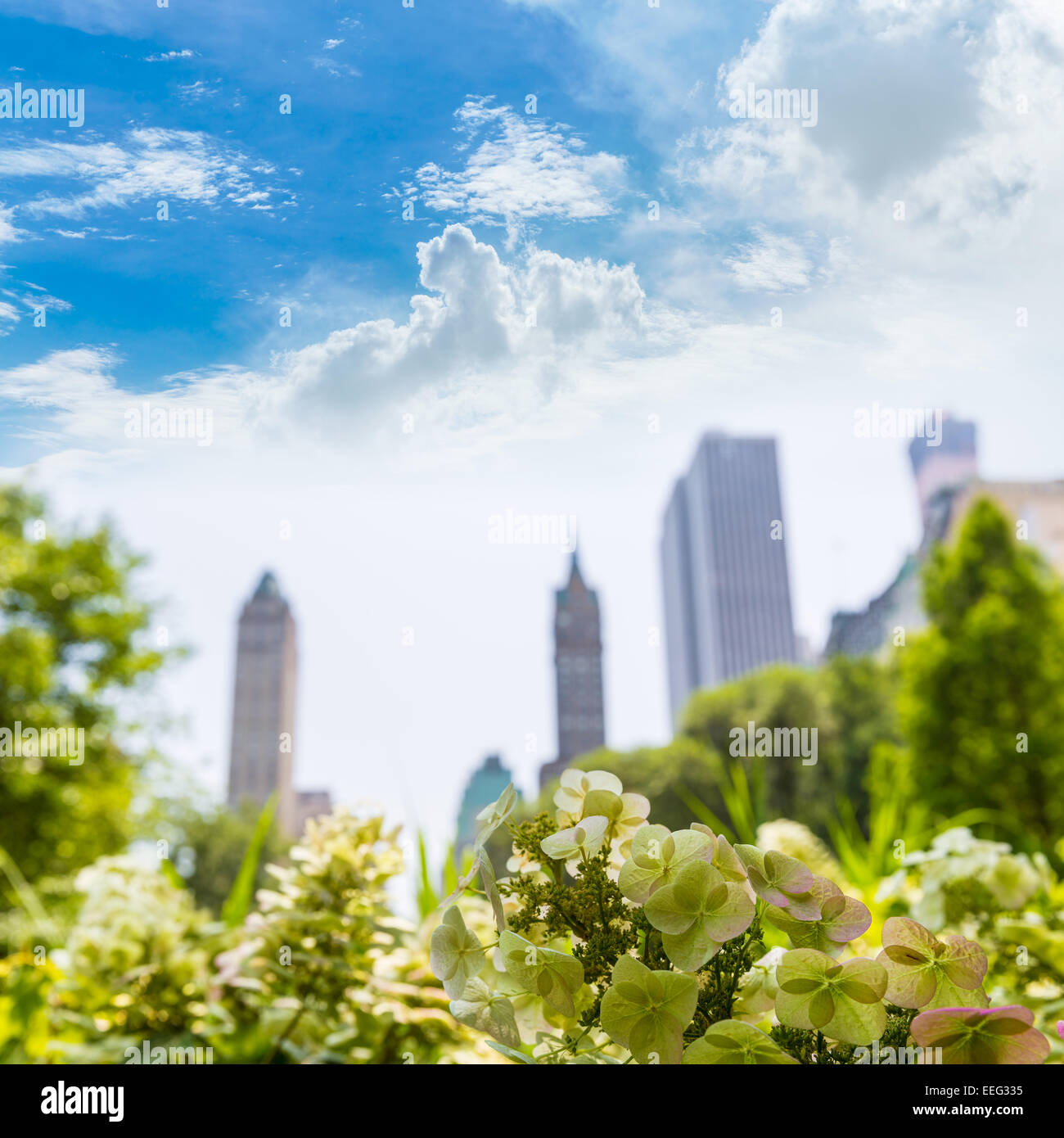 Central park flowers manhattan new hi-res stock photography and images ...