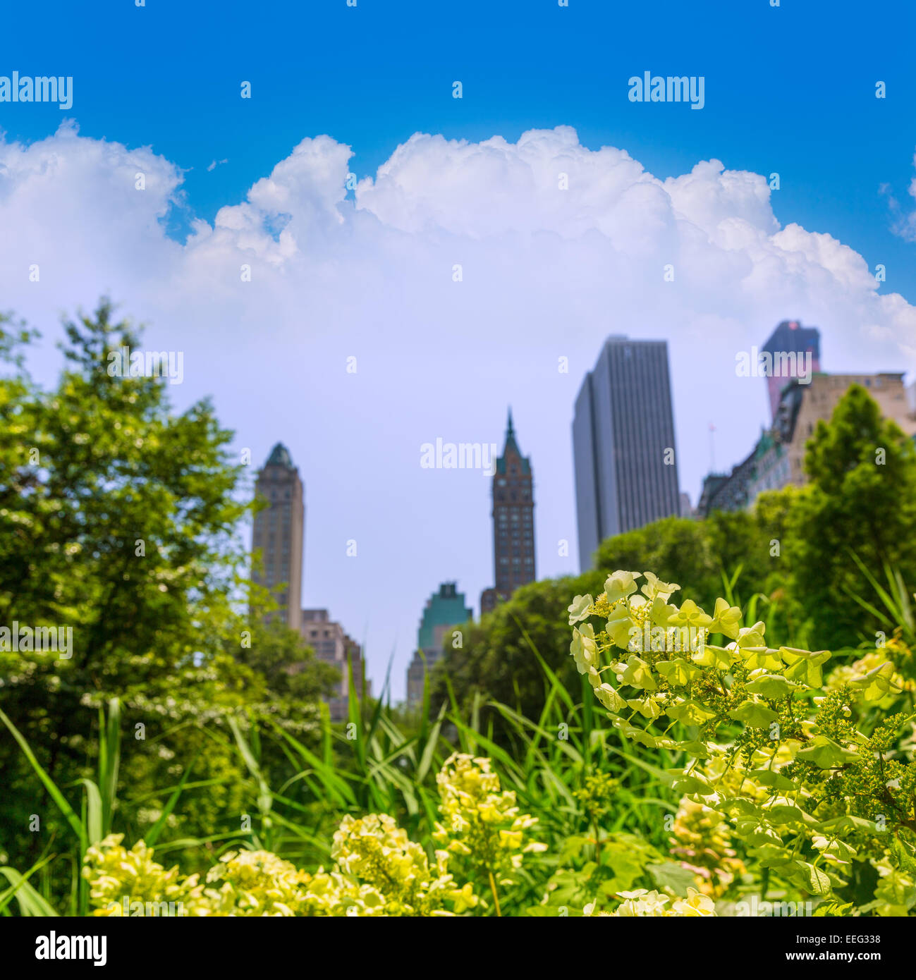 Central park flowers manhattan new hi-res stock photography and images ...