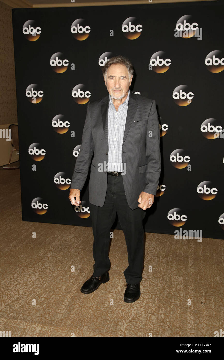 Celebrities attend Disney | ABC TCA 2014 Summer Press Tour at The ...