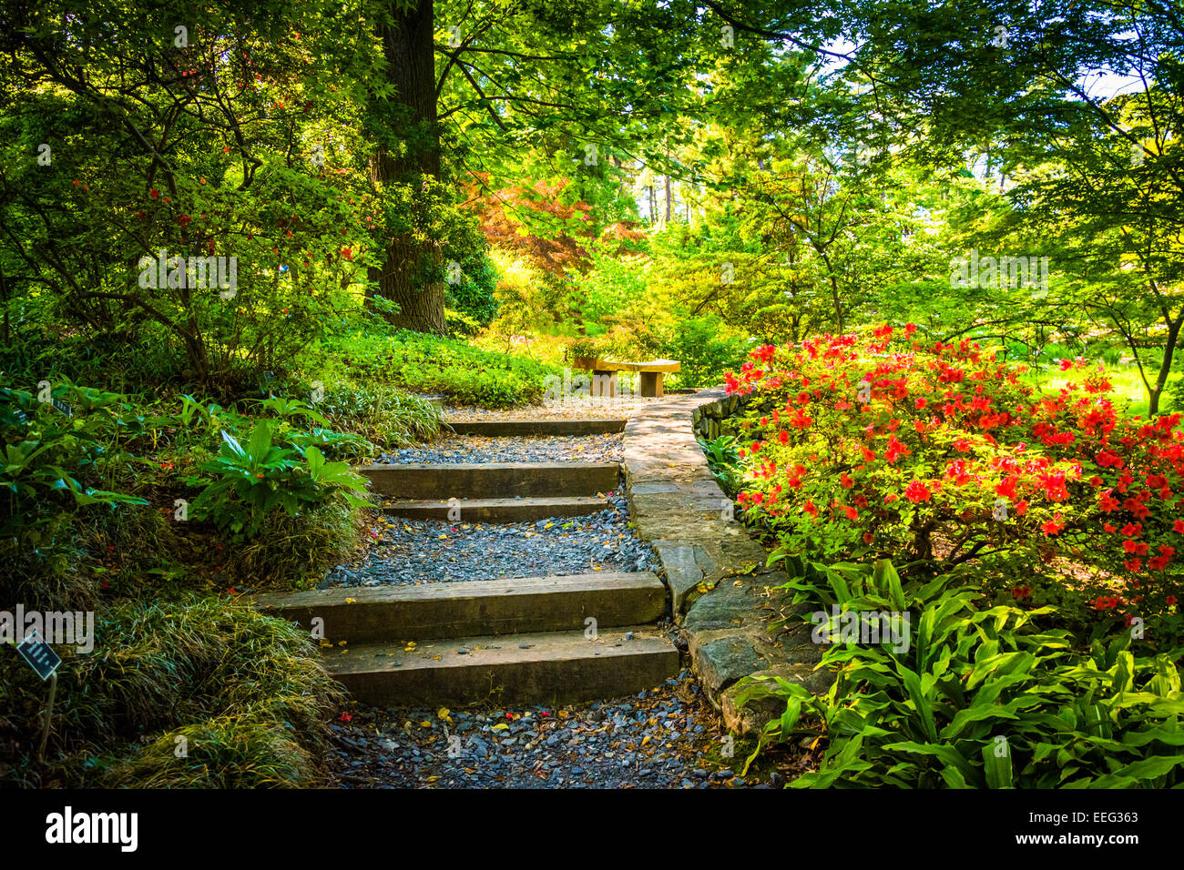 Path through a colorful garden at the National Arboretum in Washington ...