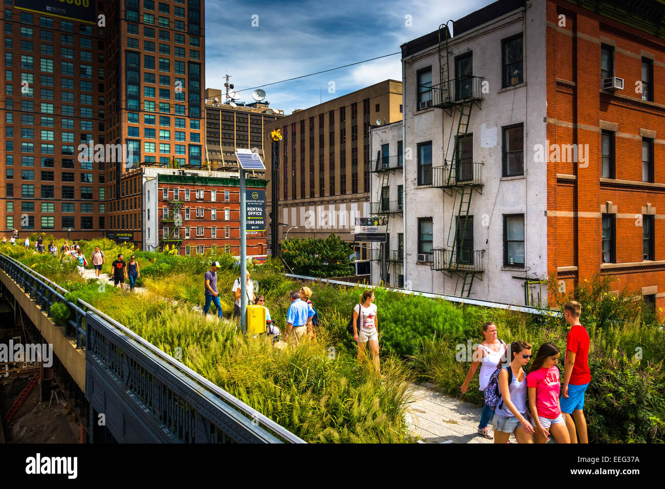 People walking on The High Line, in Manhattan, New York Stock Photo - Alamy