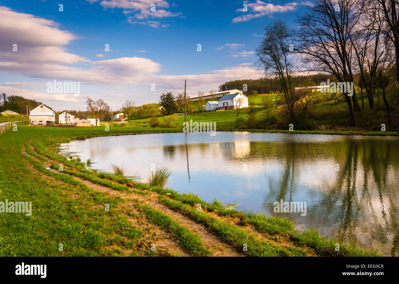 Pond scenery in rural hi-res stock photography and images - Alamy