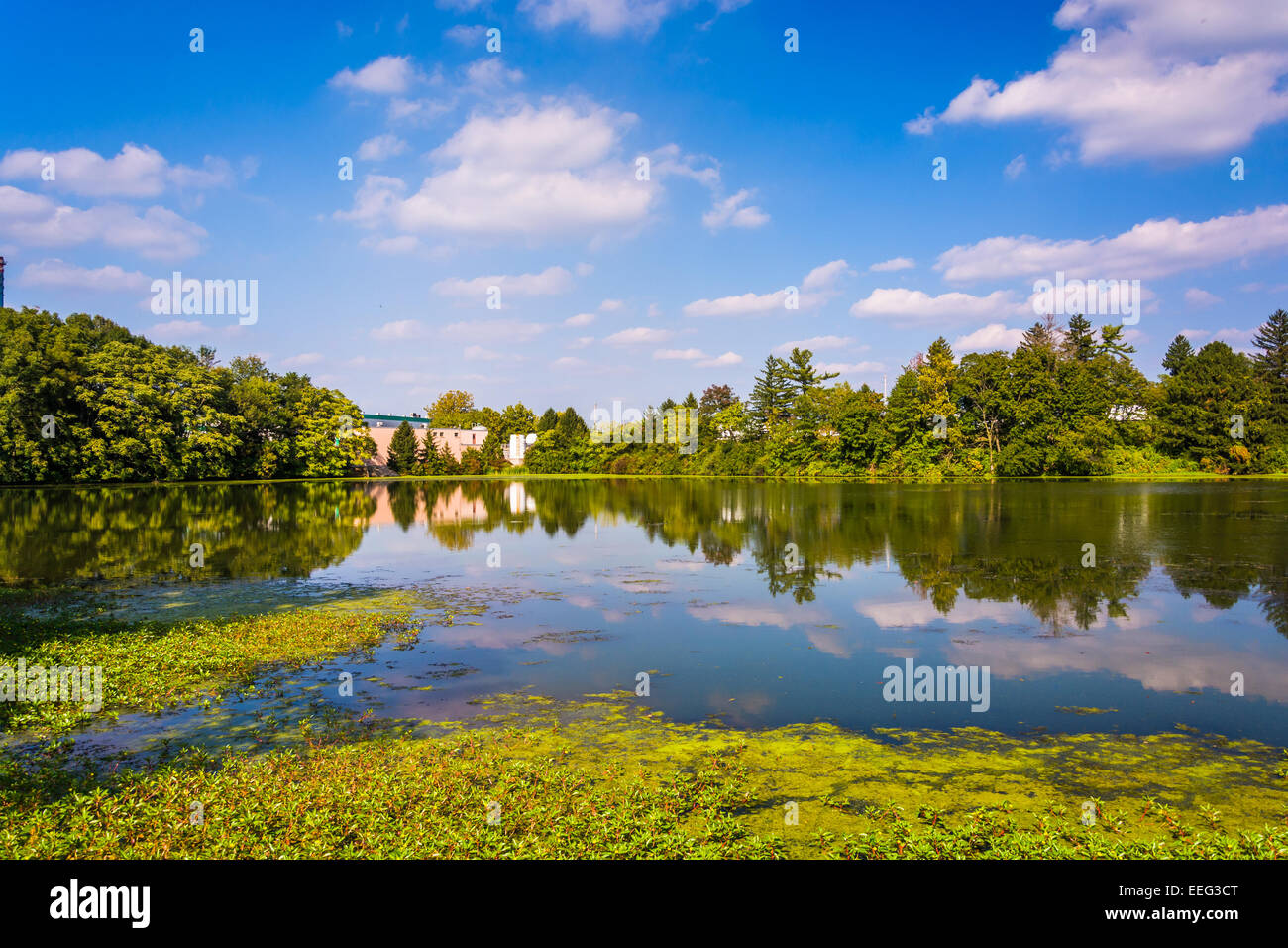 Pond in spring hi-res stock photography and images - Alamy