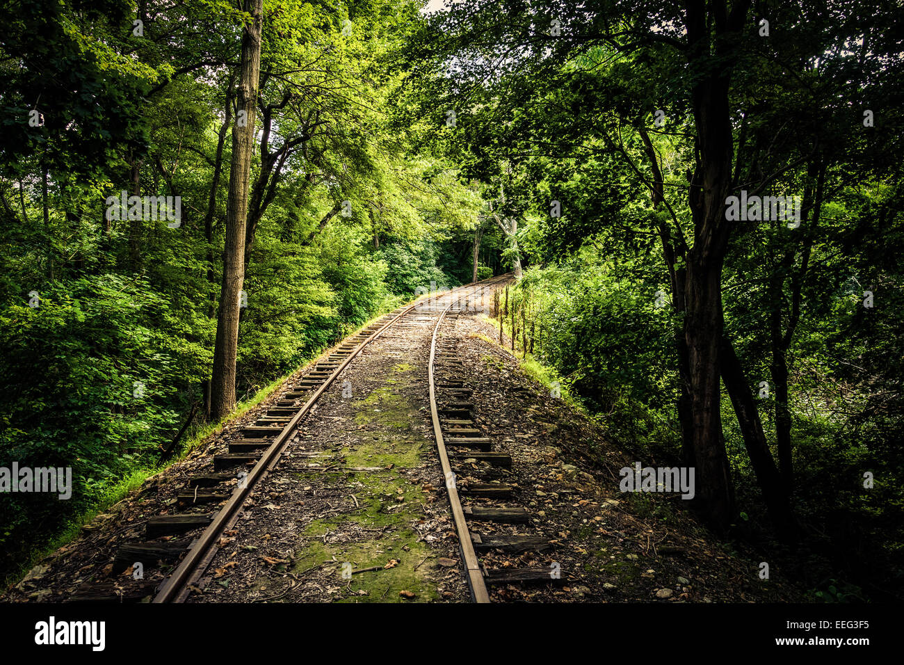 Railroad tracks through a forest in York County, Pennsylvania Stock ...