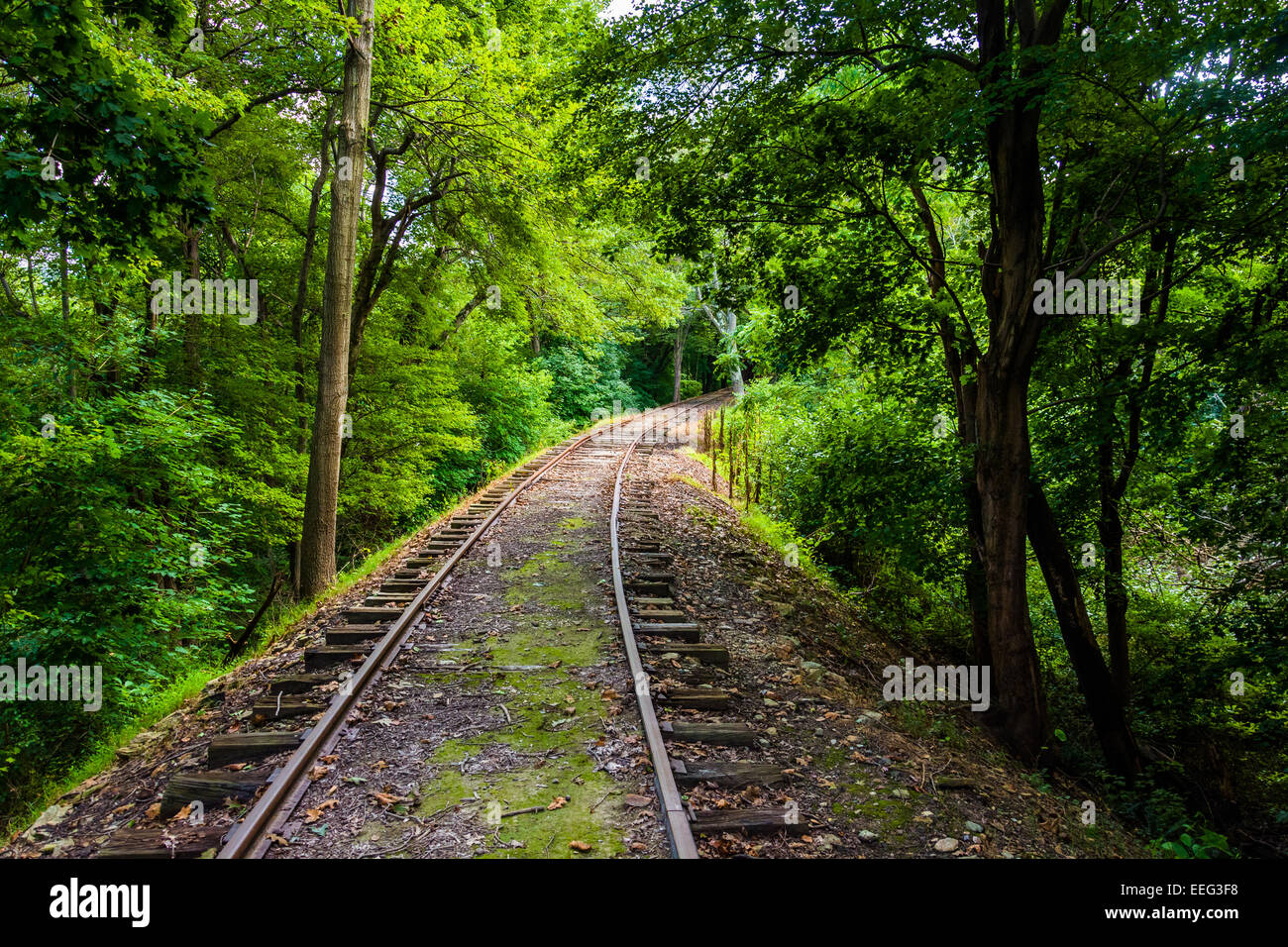 Railroad tracks through a forest in York County, Pennsylvania Stock ...