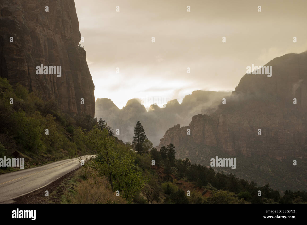 Fog rises in Zion Canyon in Utah Stock Photo - Alamy