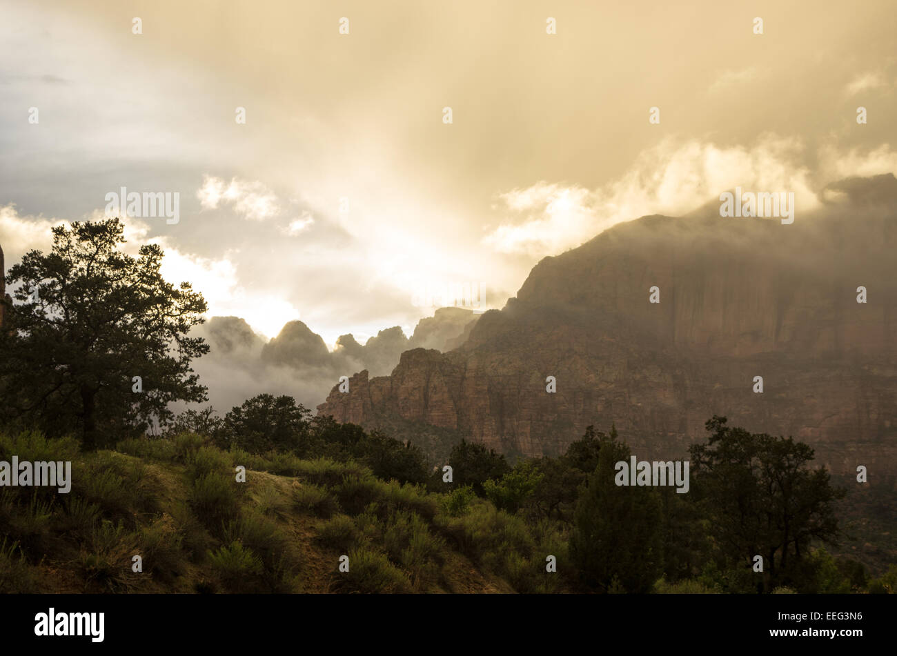 Fog rises in Zion Canyon in Utah Stock Photo - Alamy