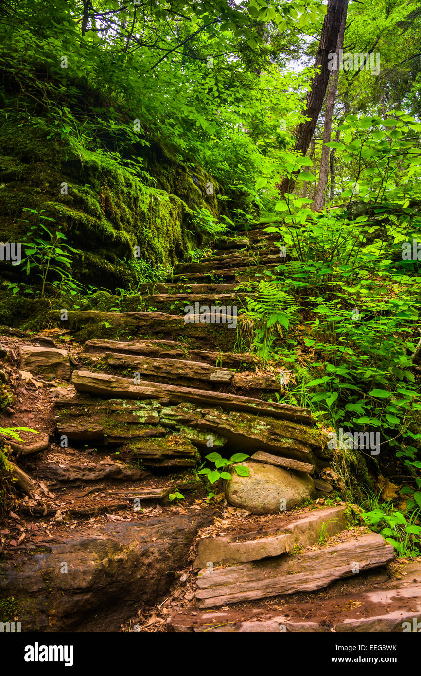 Rock staircase on a trail at Rickett's Glen State Park, Pennsylvania ...