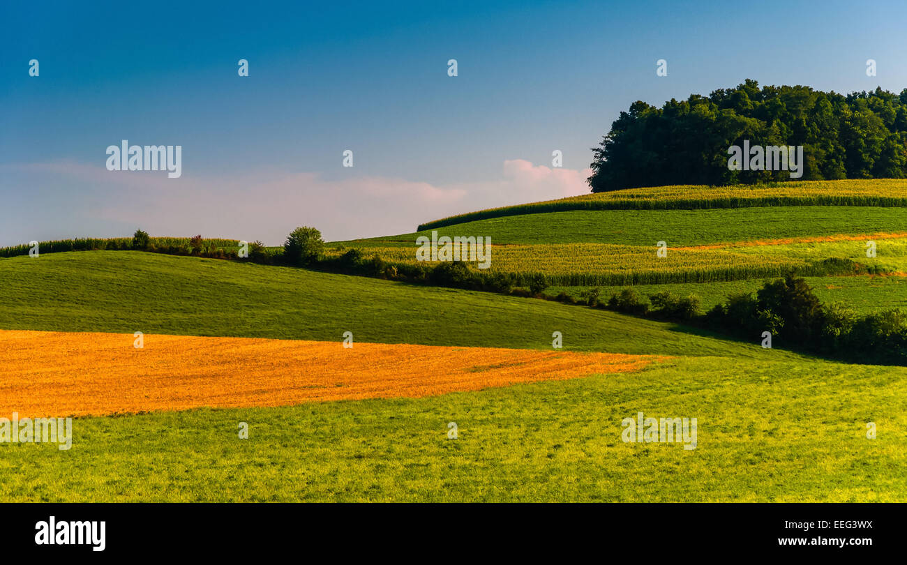 Rolling farm land hi-res stock photography and images - Alamy