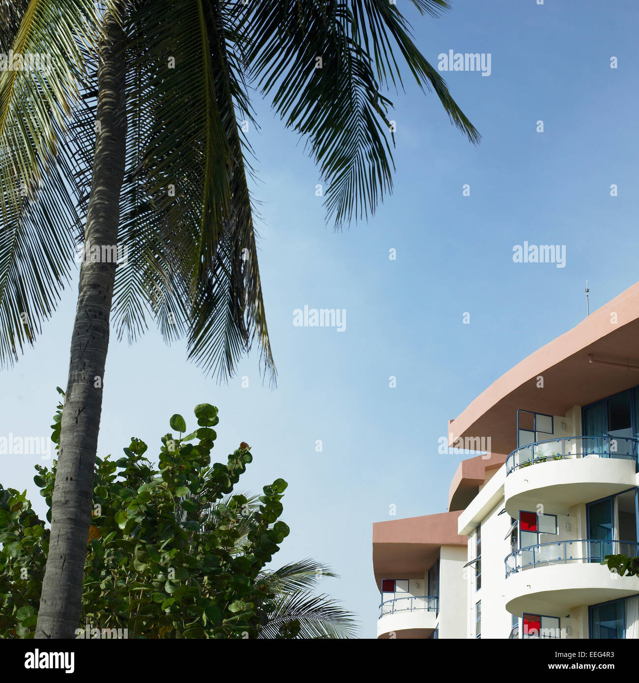 Tropical resort balconies under a palm tree Stock Photo - Alamy