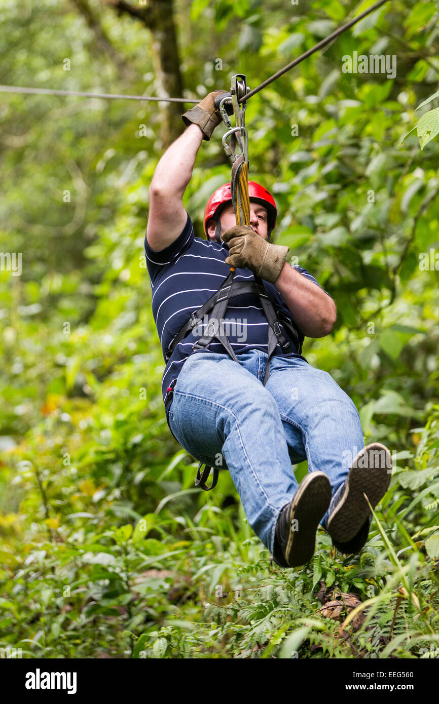 Oversized Adult Man On Zip Line Or Canopy Trip Nearby Of Banos De Agua ...