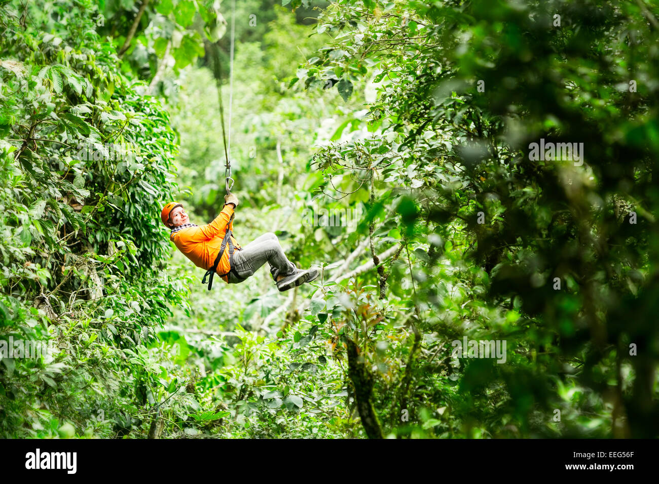 Jungle zip line hi-res stock photography and images - Alamy