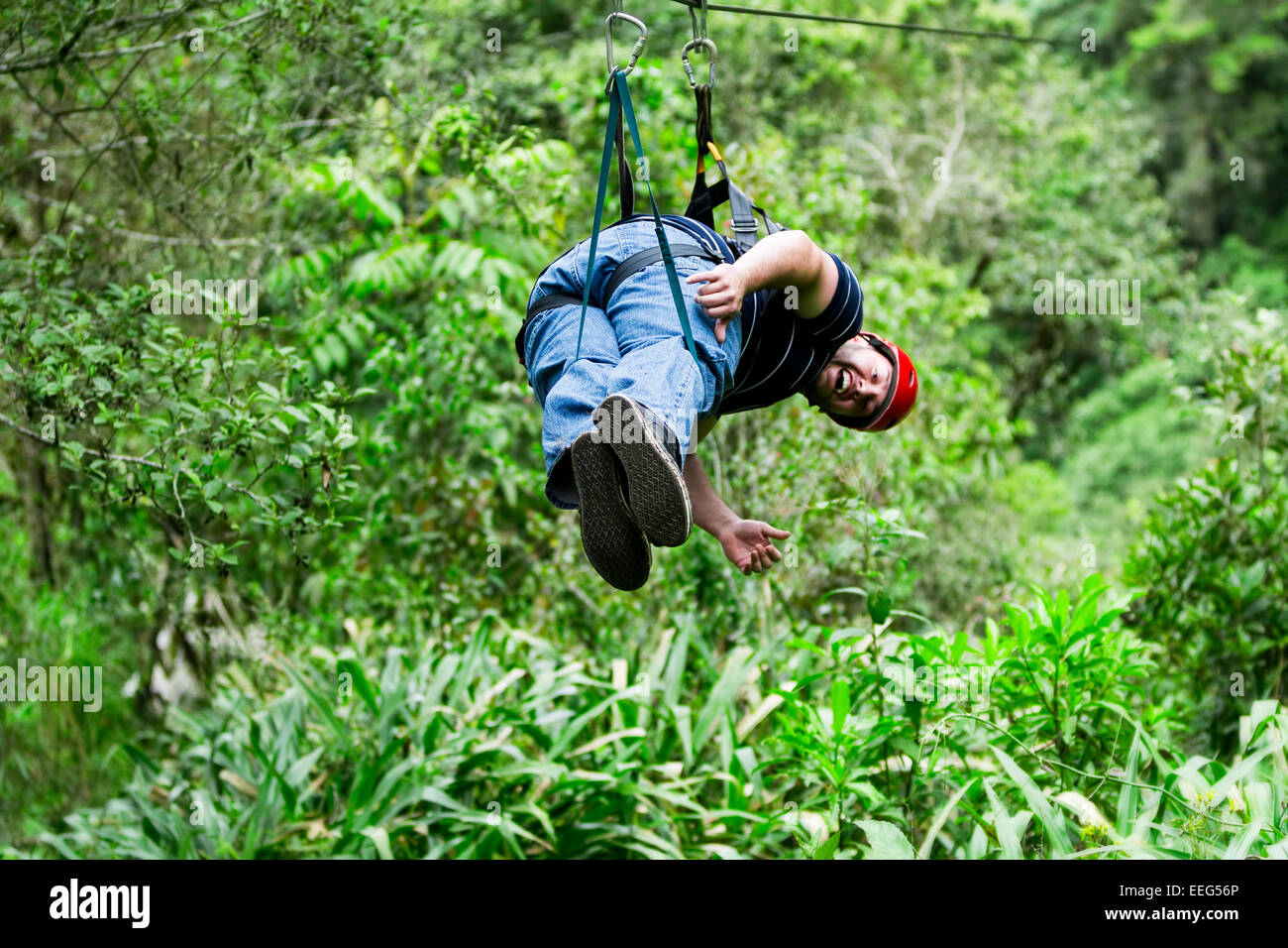 Oversized Adult Man On Zip Line Or Canopy Trip Nearby Of Banos De Agua ...