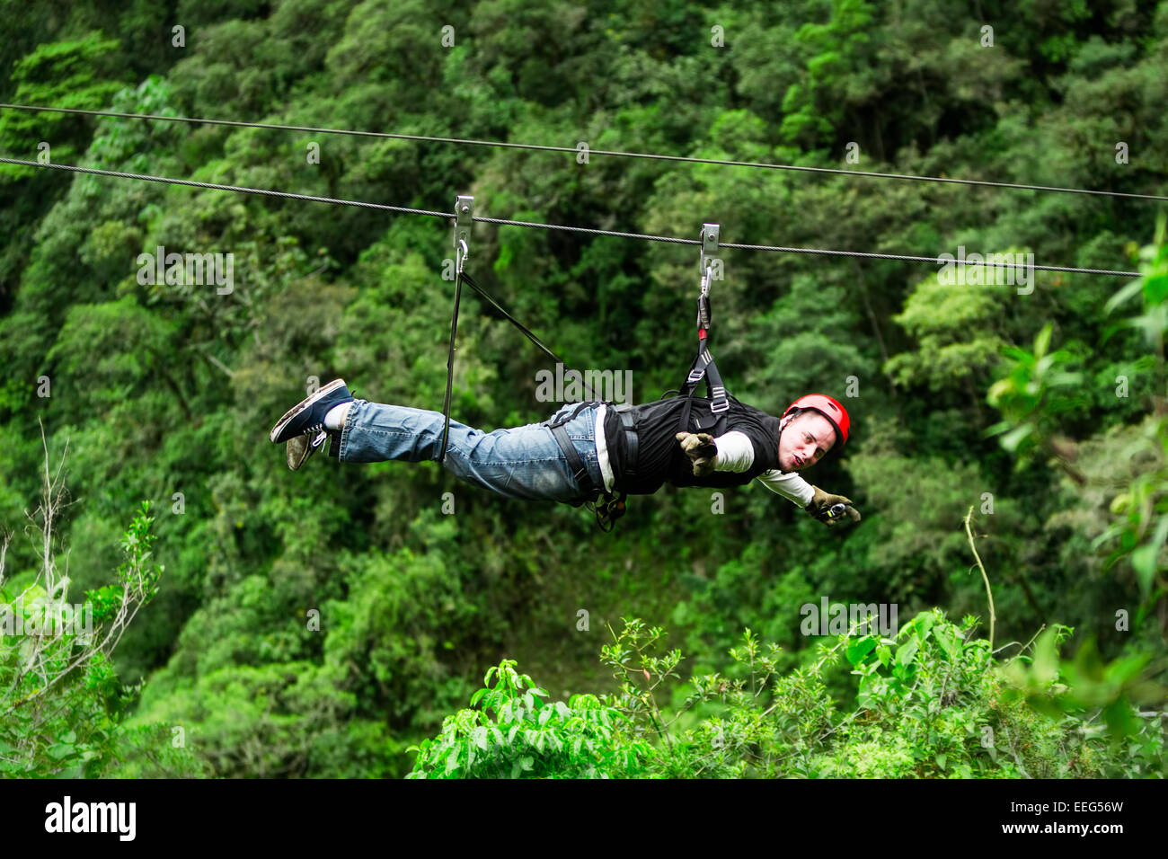 Canopy rainforest zipline hi-res stock photography and images - Alamy