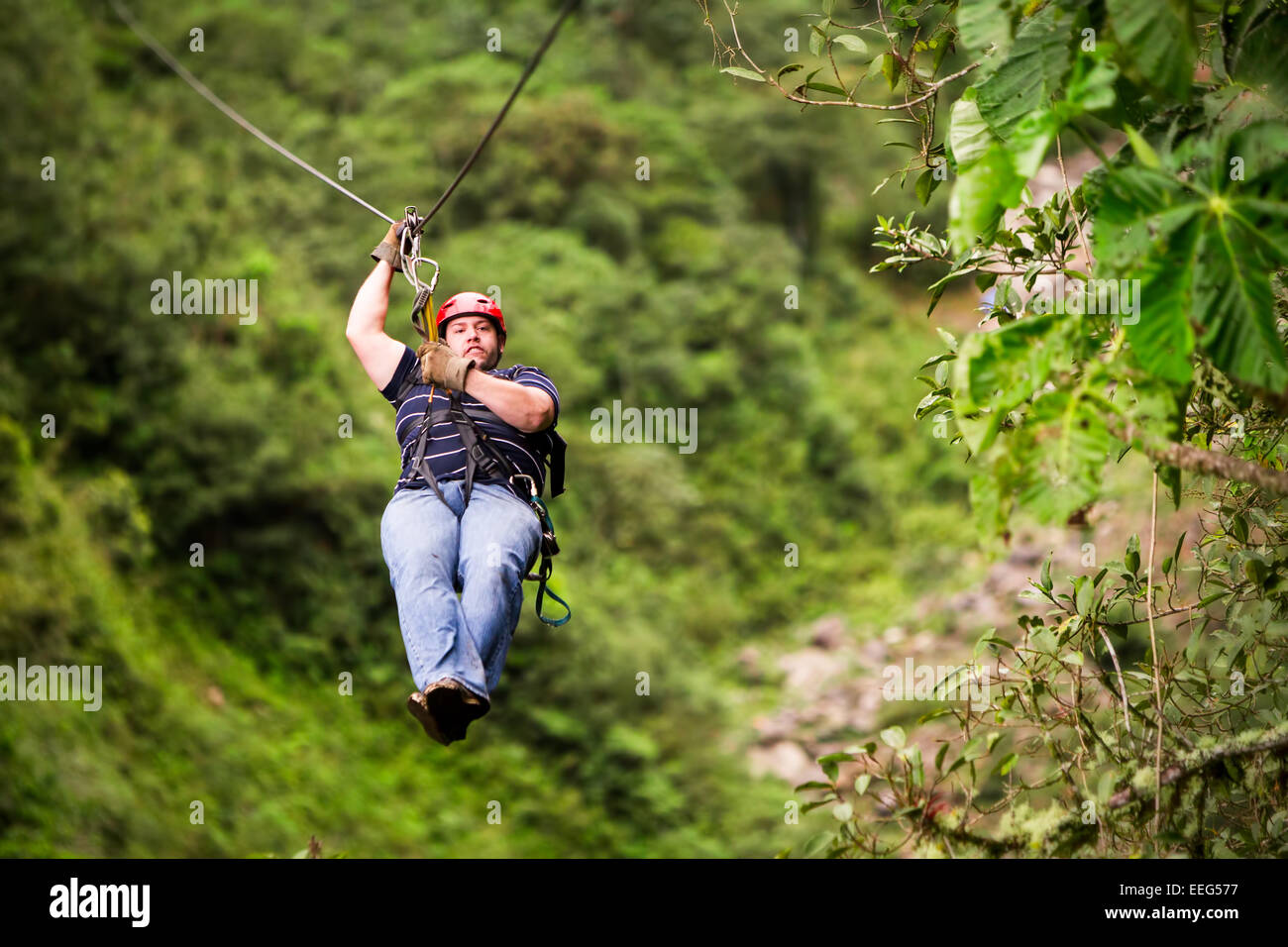 Oversized Adult Man On Zip Line Or Canopy Trip Nearby Of Banos De Agua ...