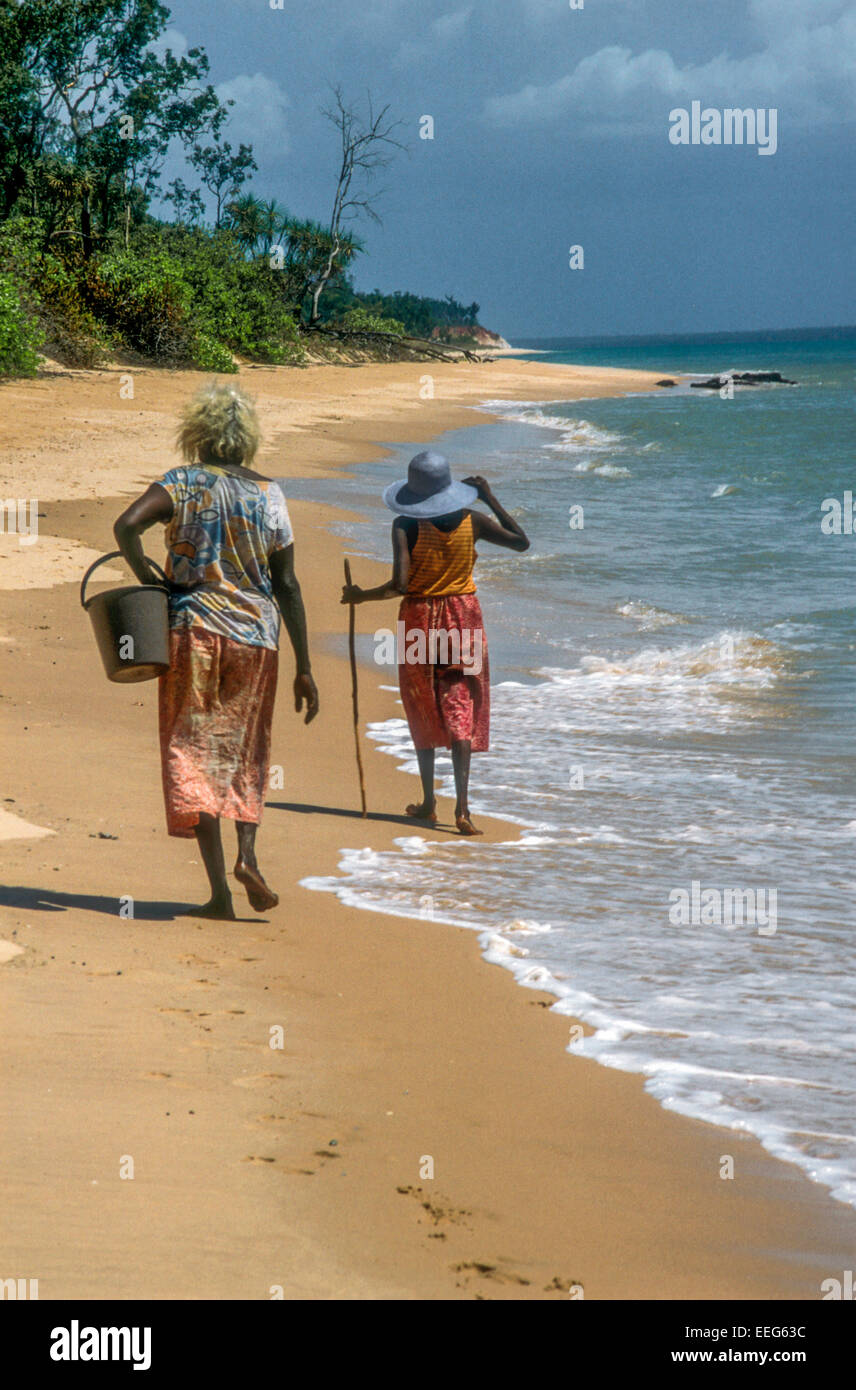 Tiwi Aboriginal women gathering seafood along a shore in the Tiwi ...