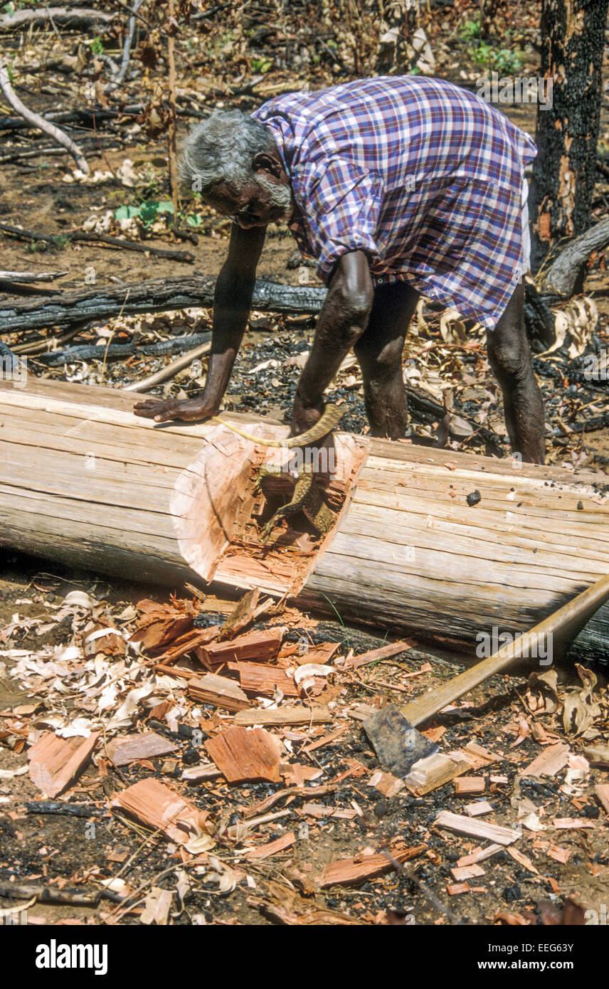 Aborigines australia hunting hi-res stock photography and images - Alamy