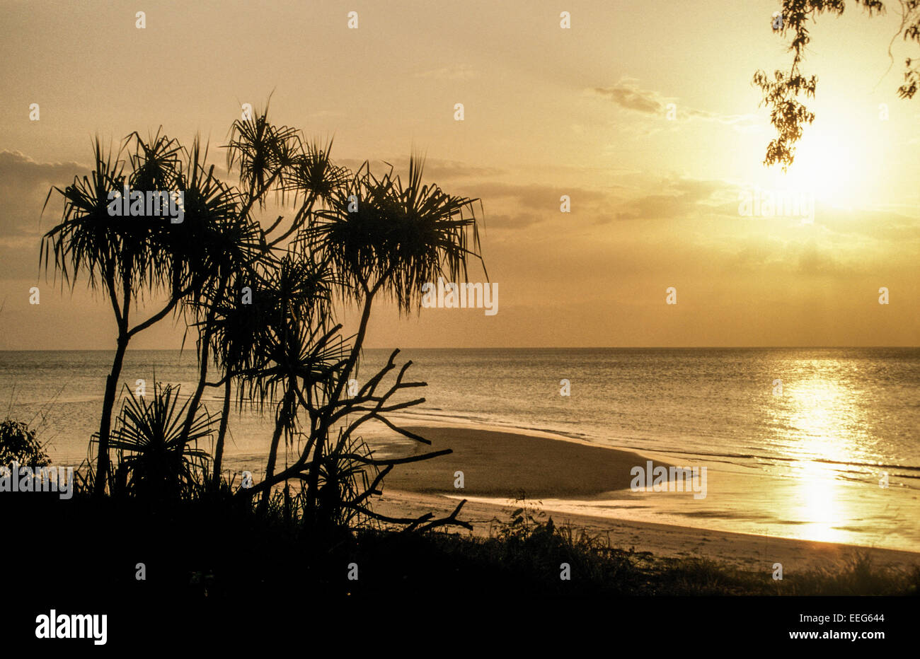 Aborigines tiwi islands australia hi-res stock photography and images ...