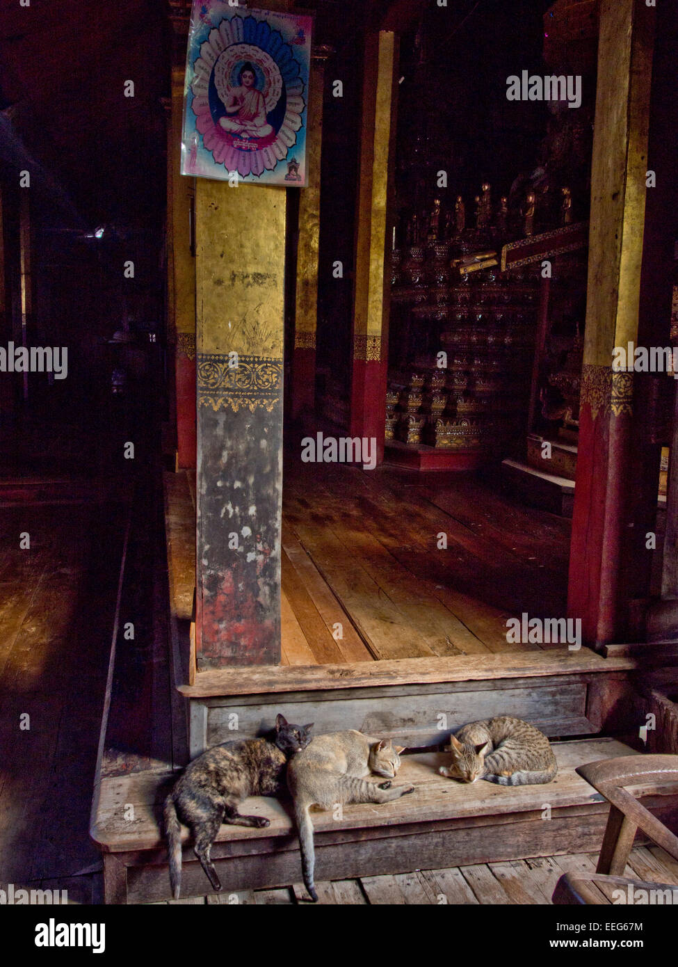 Jumping Cat Buddhist monastery in Inle Lake, Shan state, Myanmar Stock ...