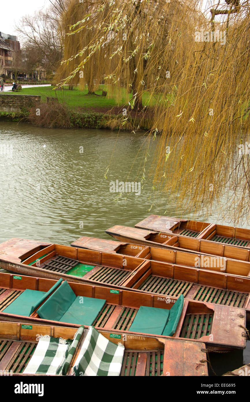 Punting boats on the dock in Cambridge, England Stock Photo - Alamy