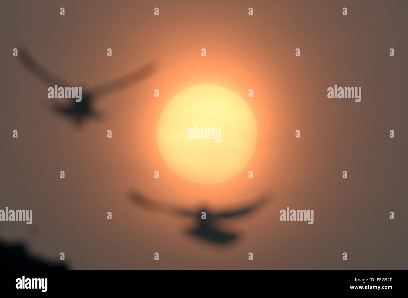 Bleared hi-res stock photography and images - Alamy