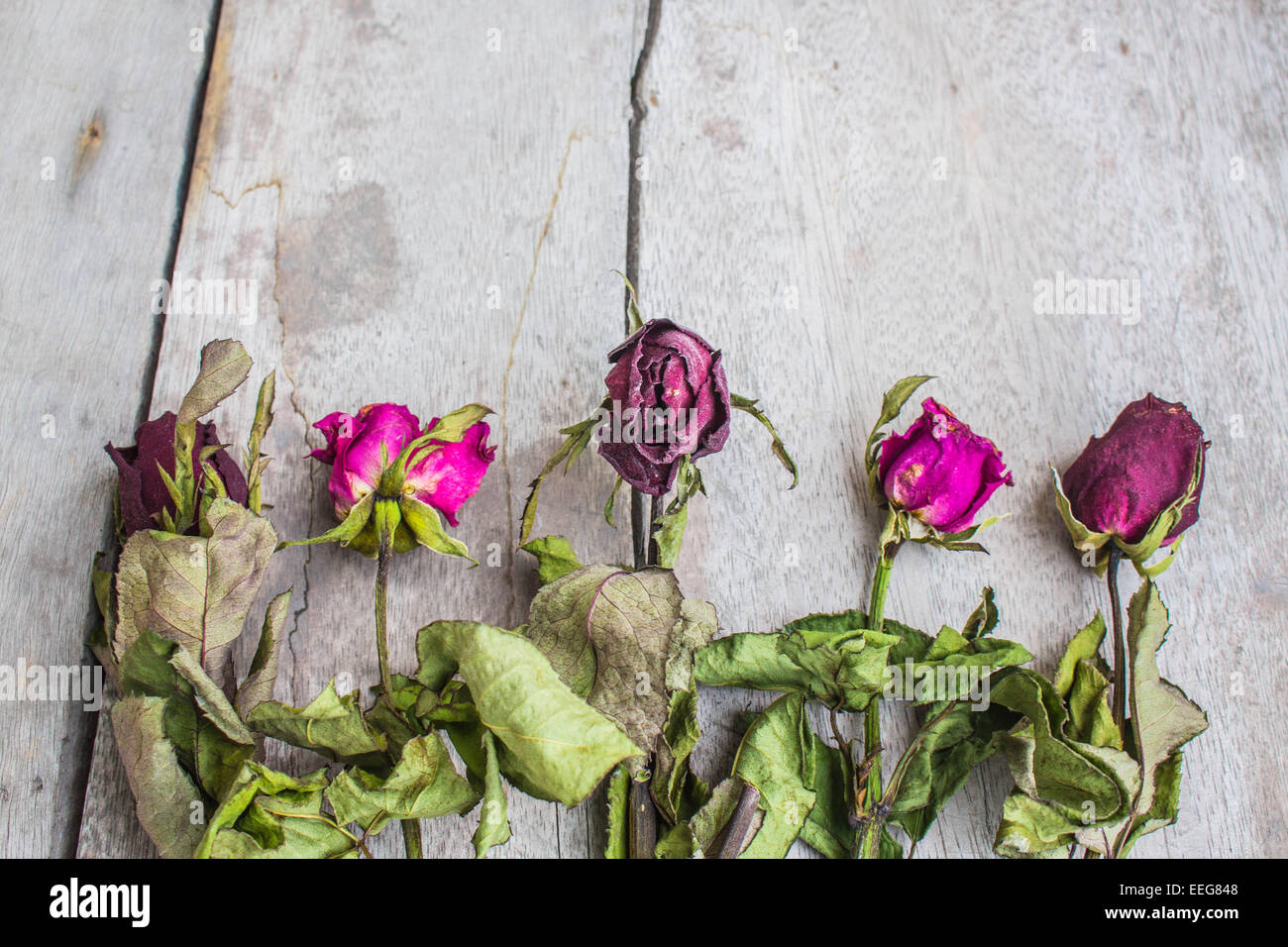 Dried roses on a wooden floor Stock Photo - Alamy