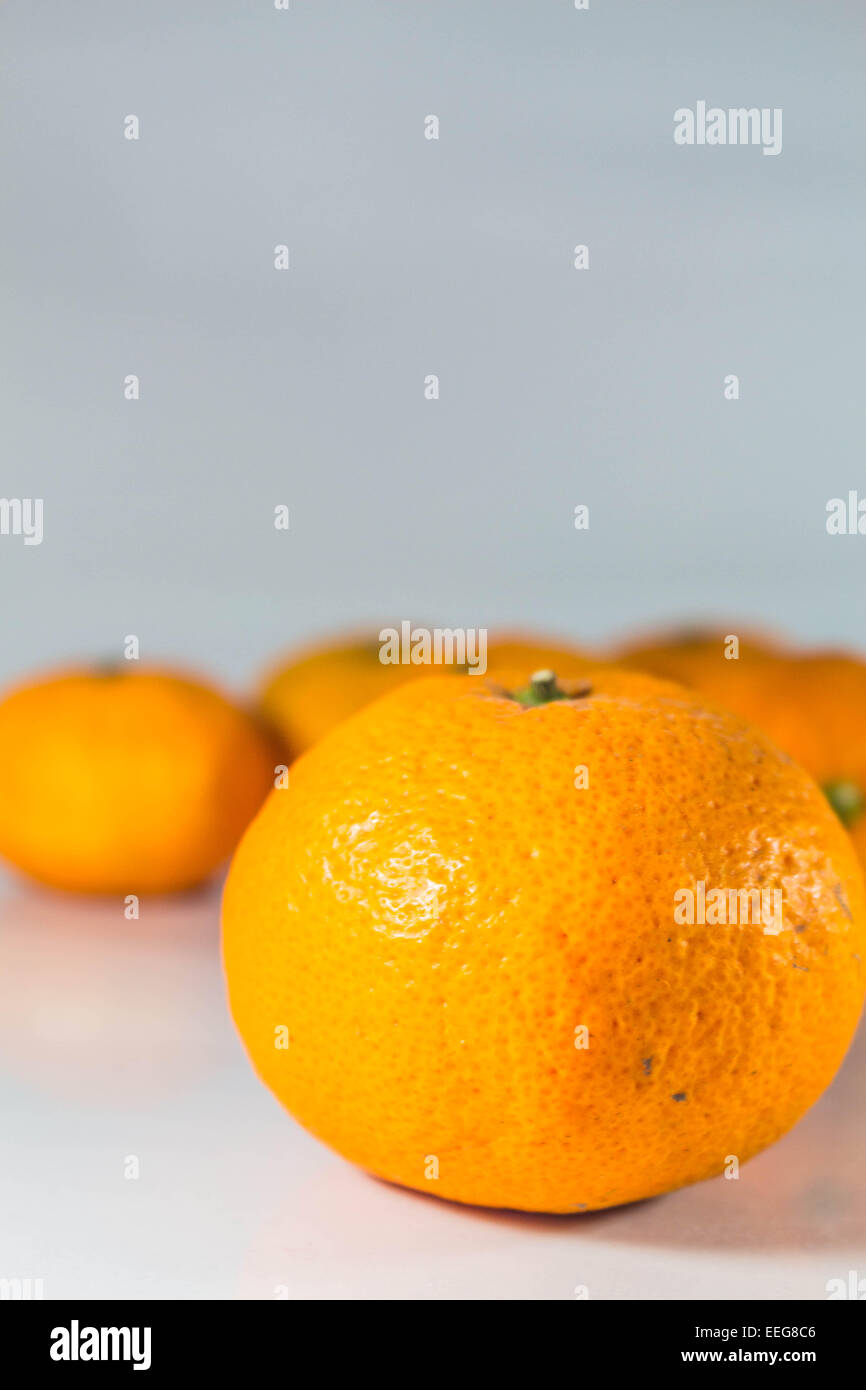 Citrus fruits are placed together Stock Photo - Alamy