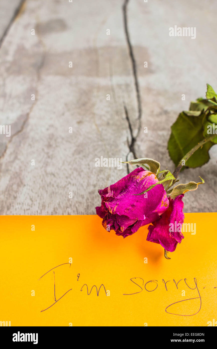 Roses and text on paper Stock Photo - Alamy