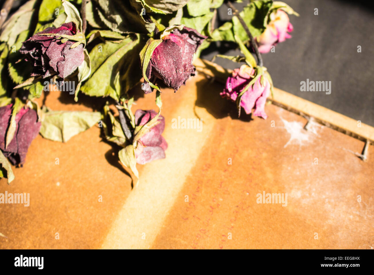 Dry rose on a background of old wood frame Stock Photo - Alamy