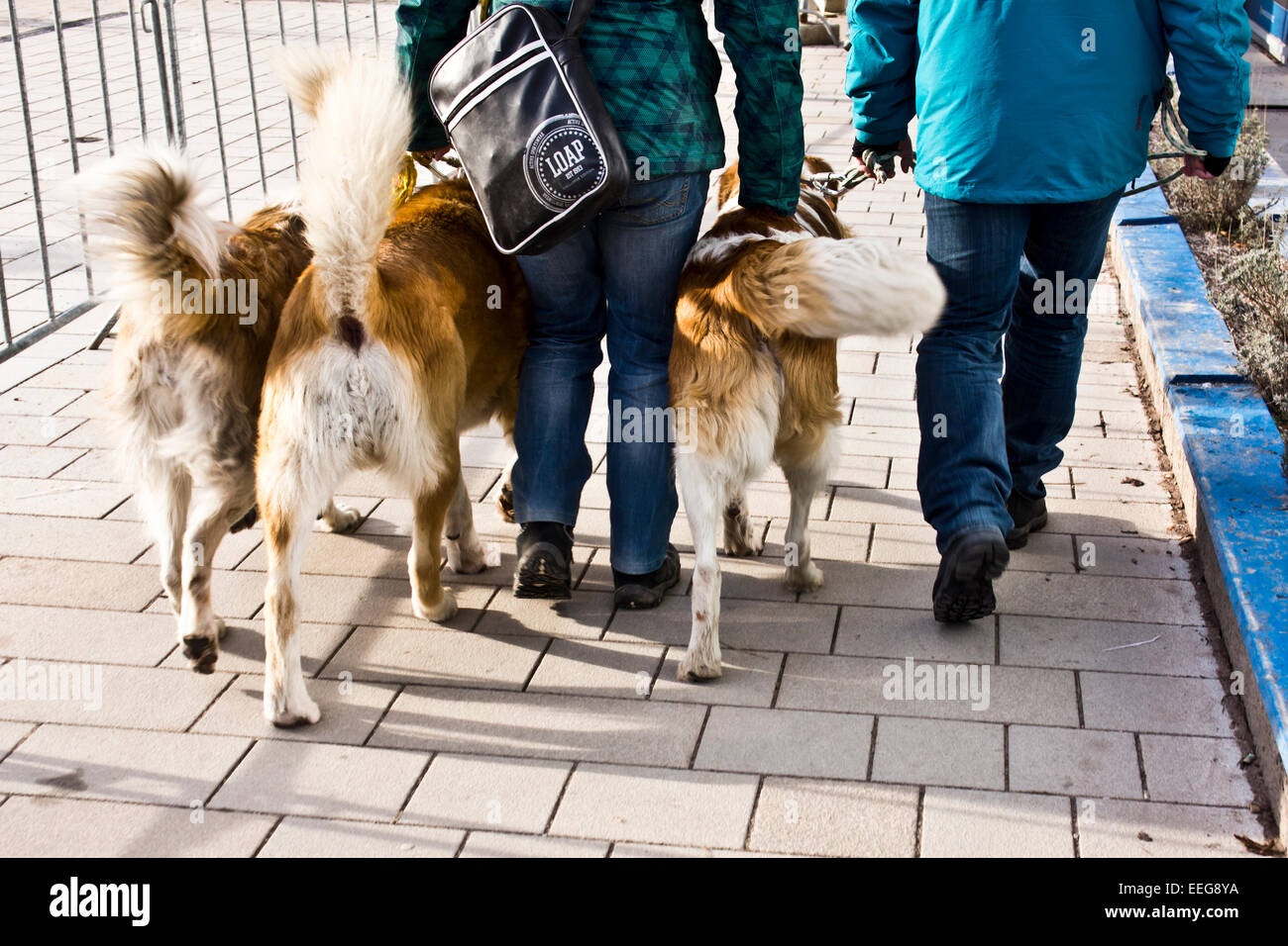 Three couple hi-res stock photography and images - Alamy