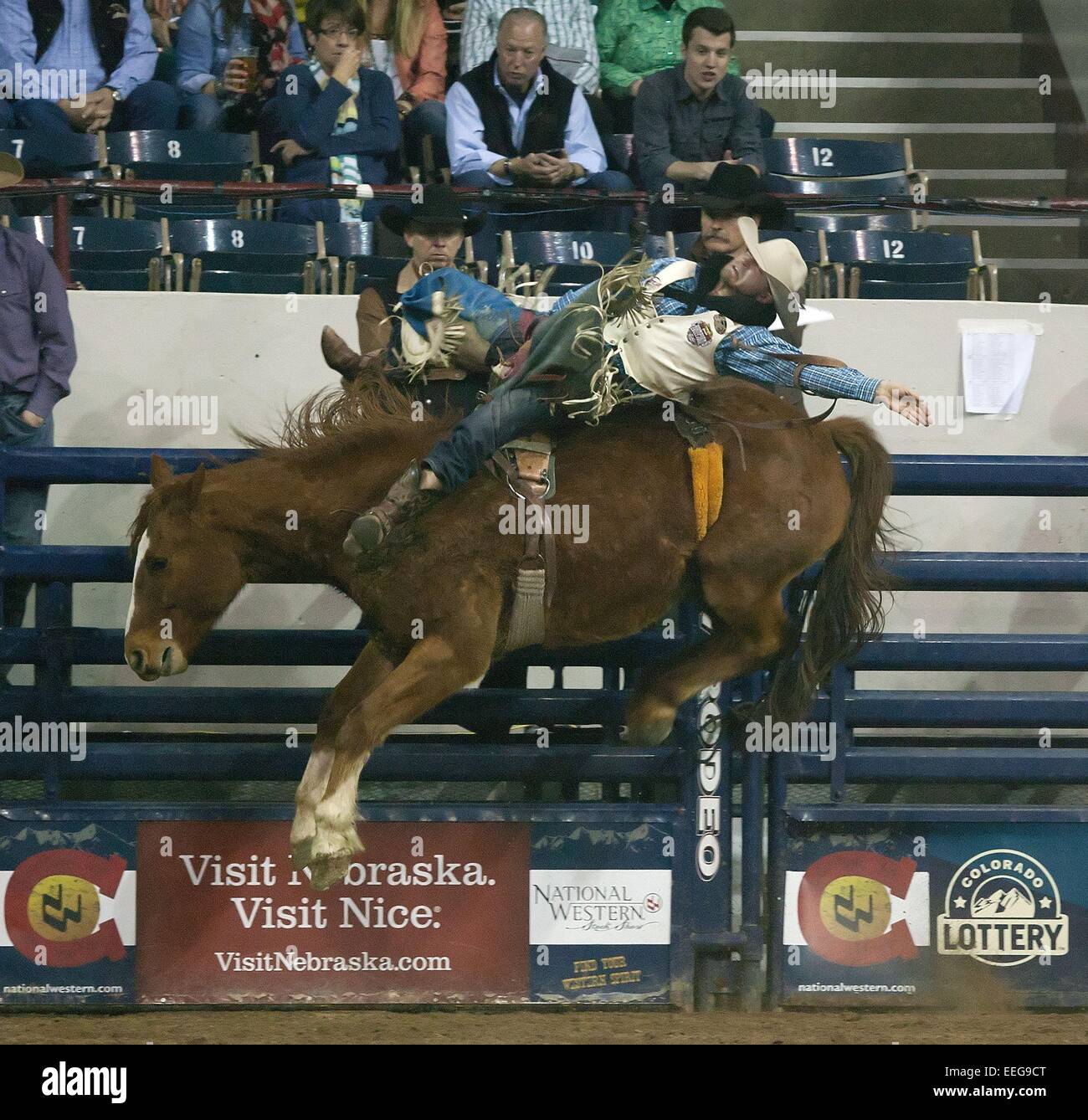Denver, Colorado, USA. 17th Jan, 2015. SETH HARDWICK of Laramie, WY. rides a top of Bronc ...