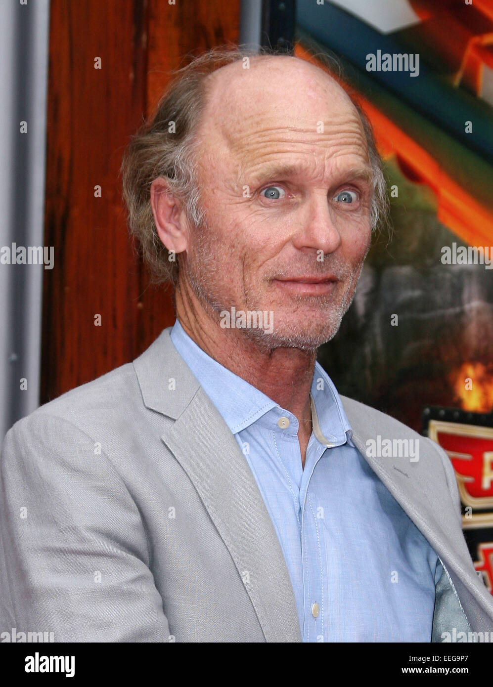 Disney's Planes: Fire & Rescue Los Angeles Premiere held at El Capitan ...