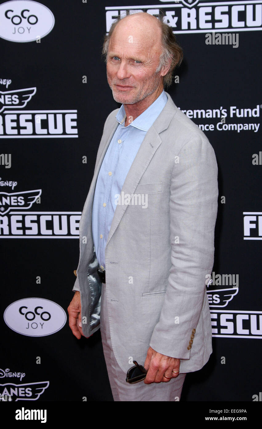 Disney's Planes: Fire & Rescue Los Angeles Premiere held at El Capitan ...