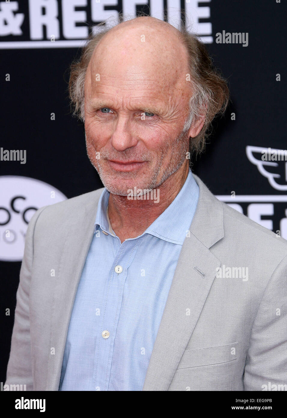 Disney's Planes: Fire & Rescue Los Angeles Premiere held at El Capitan ...