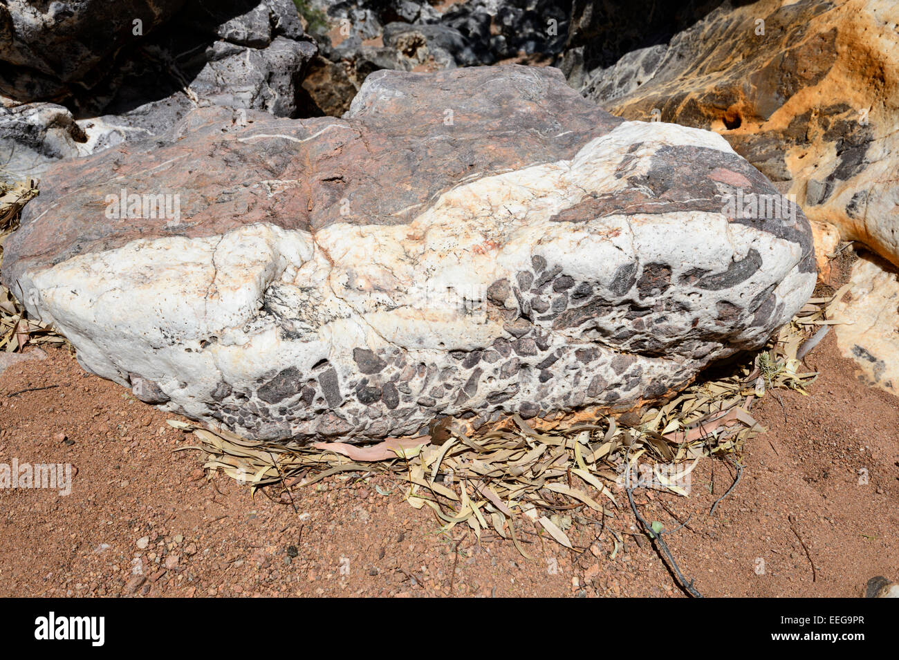 Detail of Rock Formations, Arkaroola Resort and Wilderness Sanctuary ...