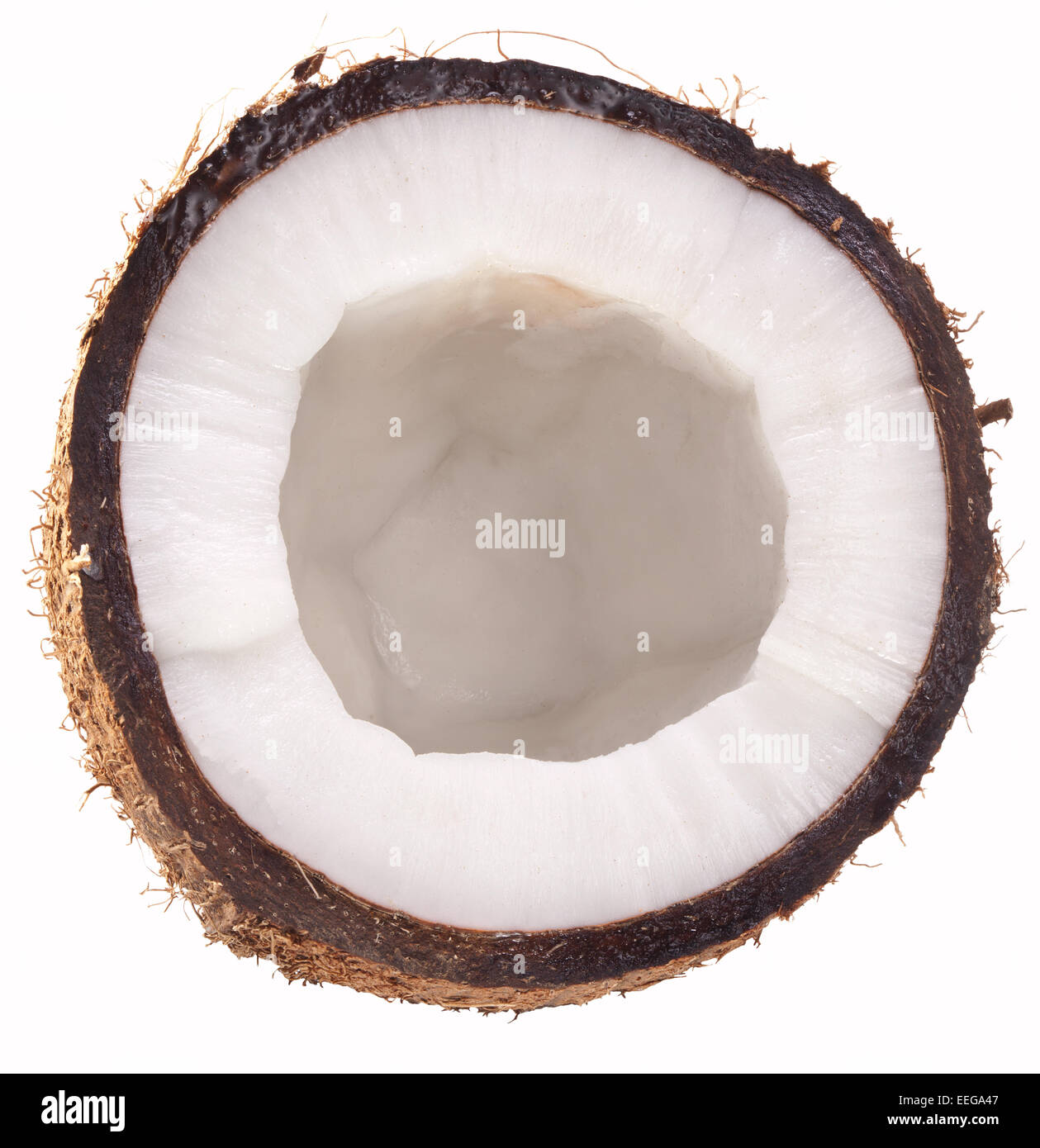 Half of coconut isolated on a white. File contains clipping paths Stock ...