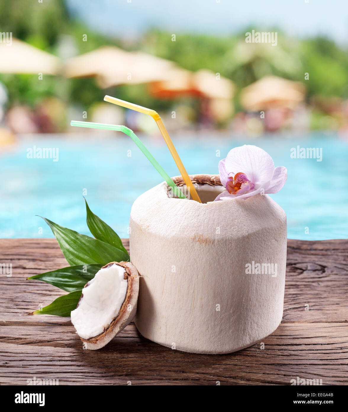 Coconut water in the nut Stock Photo - Alamy