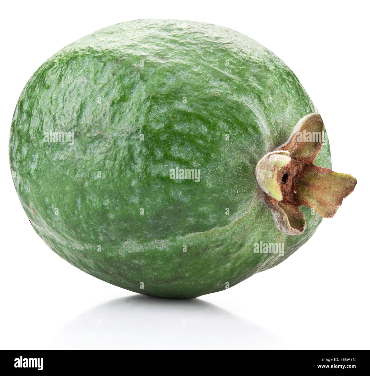 Feijoa fruit isolated on a white background. File contains clipping ...