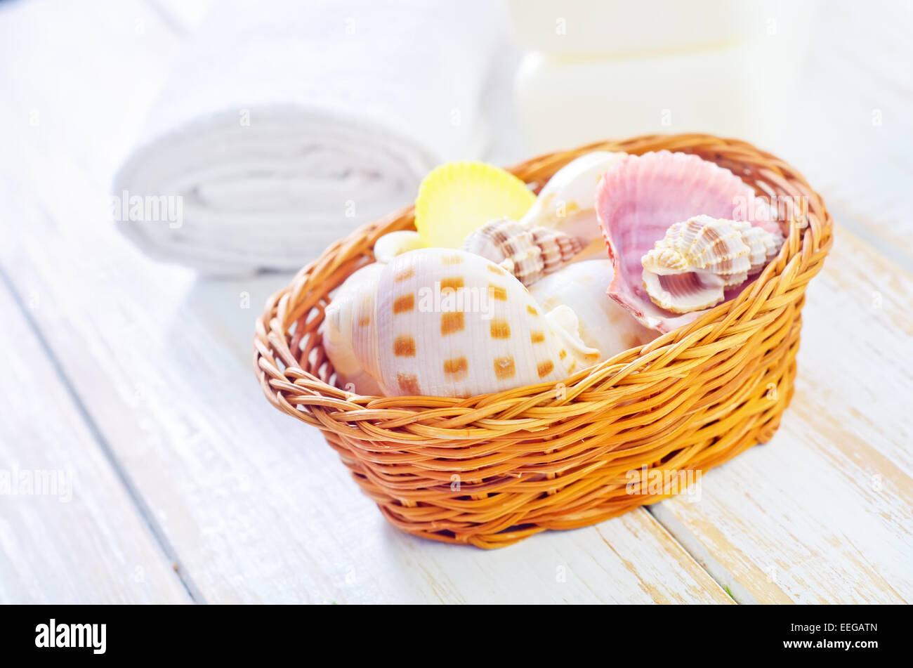 Thick shells hi-res stock photography and images - Alamy