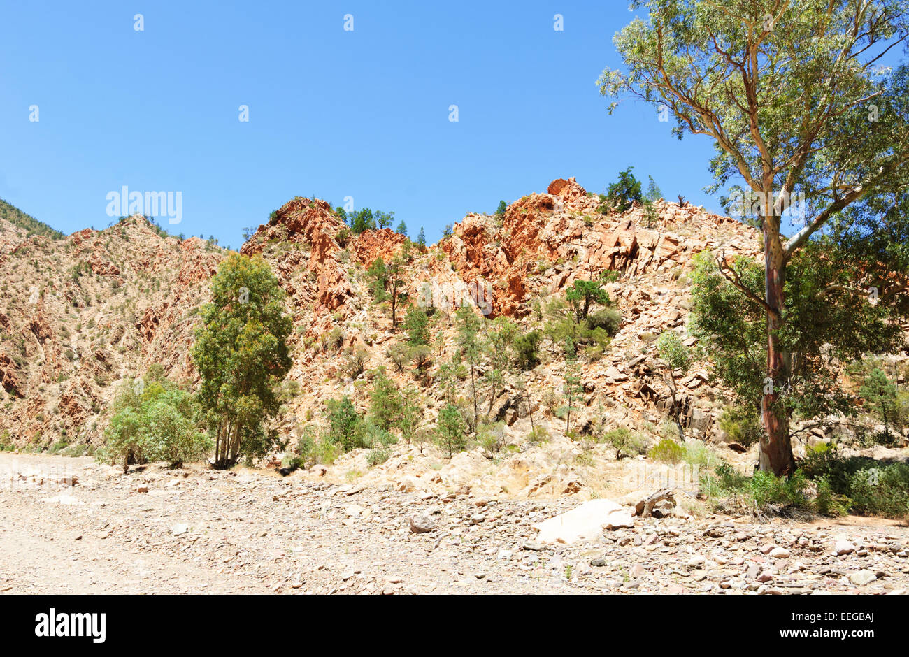Brachina Gorge, Flinders Ranges, South Australia Stock Photo - Alamy