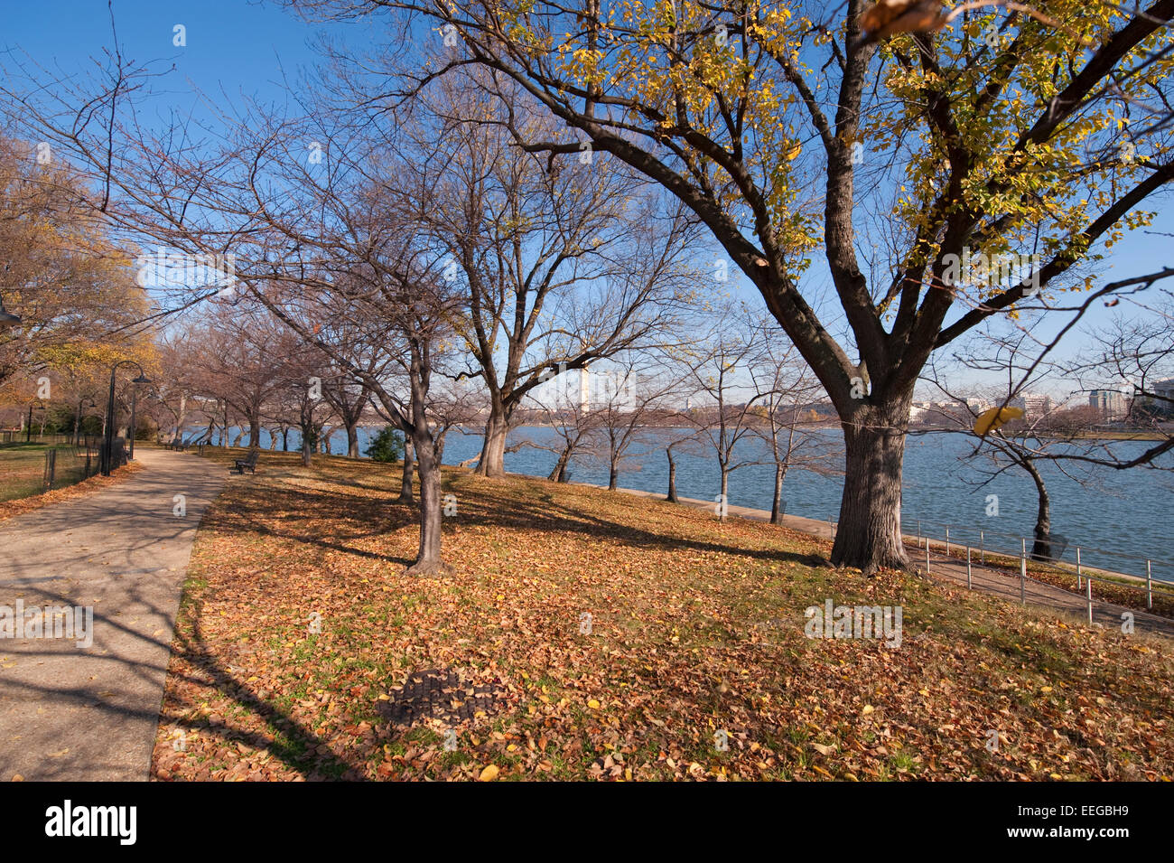 Autumn colors in West Potomac Park, Washington DC, USA Stock Photo - Alamy