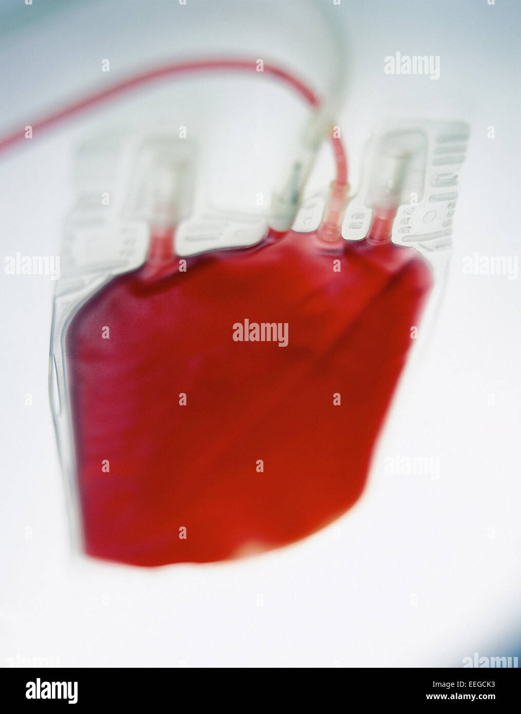 Blood plasma bag hi-res stock photography and images - Alamy