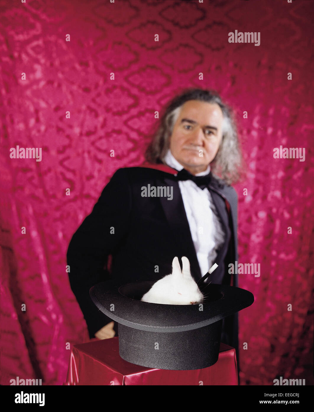 Hamburg, Germany, Magician with Rabbit in the Hat Stock Photo - Alamy